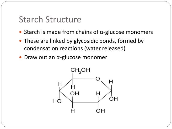 PPT - Starch, Glycogen and Cellulose PowerPoint Presentation - ID:2142751