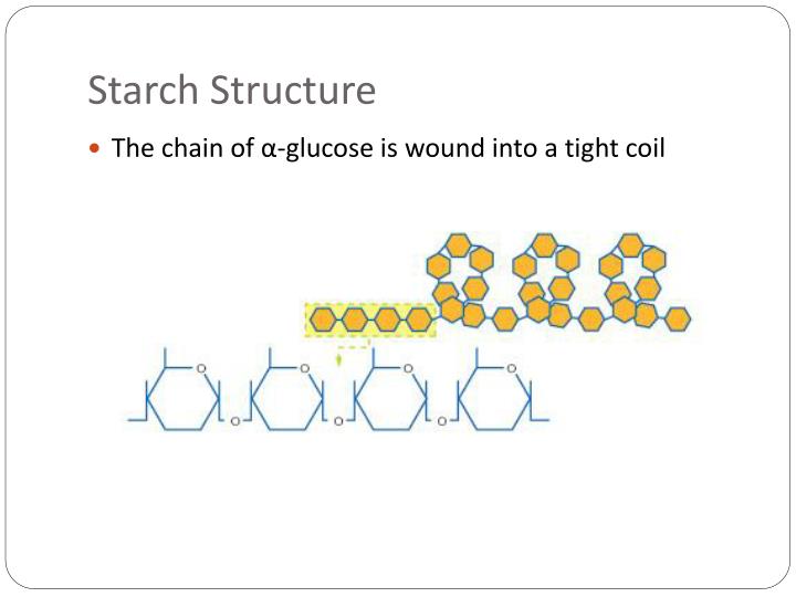 PPT - Starch, Glycogen and Cellulose PowerPoint Presentation - ID:2142751