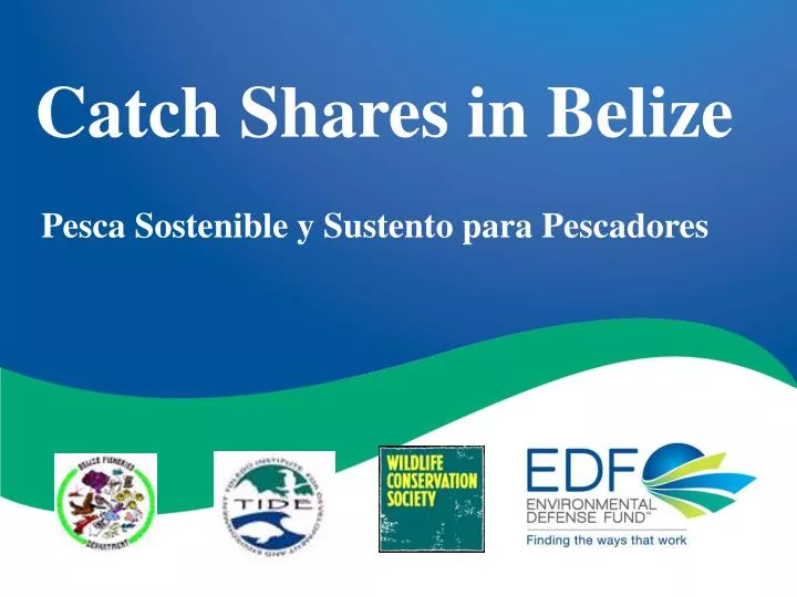 PPT - Catch Shares in Belize PowerPoint Presentation, free download ...