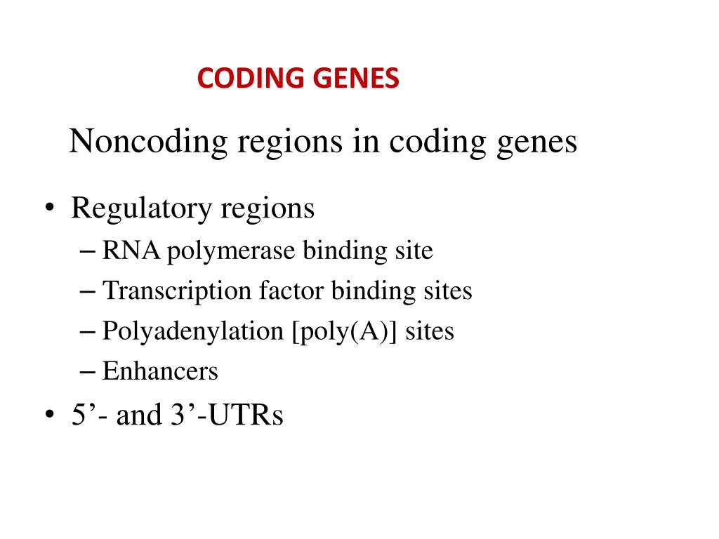 PPT - Organisation of human genome PowerPoint Presentation, free ...