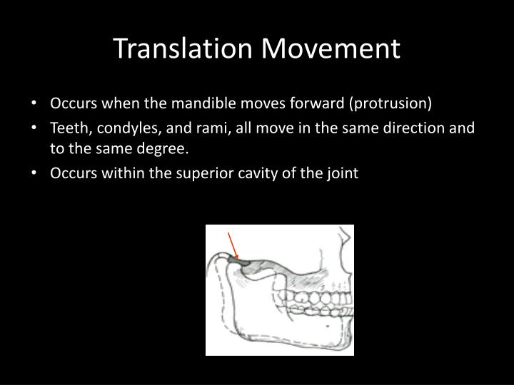 PPT - Fundamentals Of Occlusion PowerPoint Presentation - ID:2143561