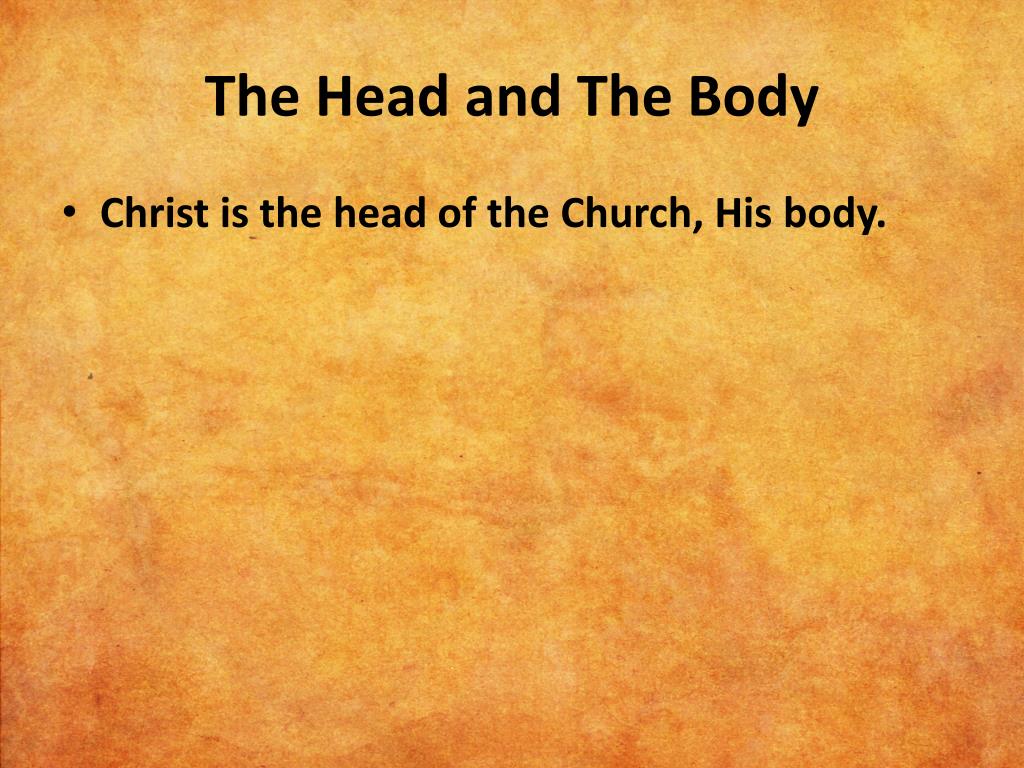 PPT - The Church = The body of Christ PowerPoint Presentation, free ...