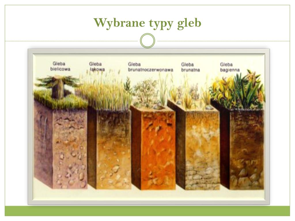 PPT - Monitoring stanu środowiska za pomocą analiz chemicznych ...