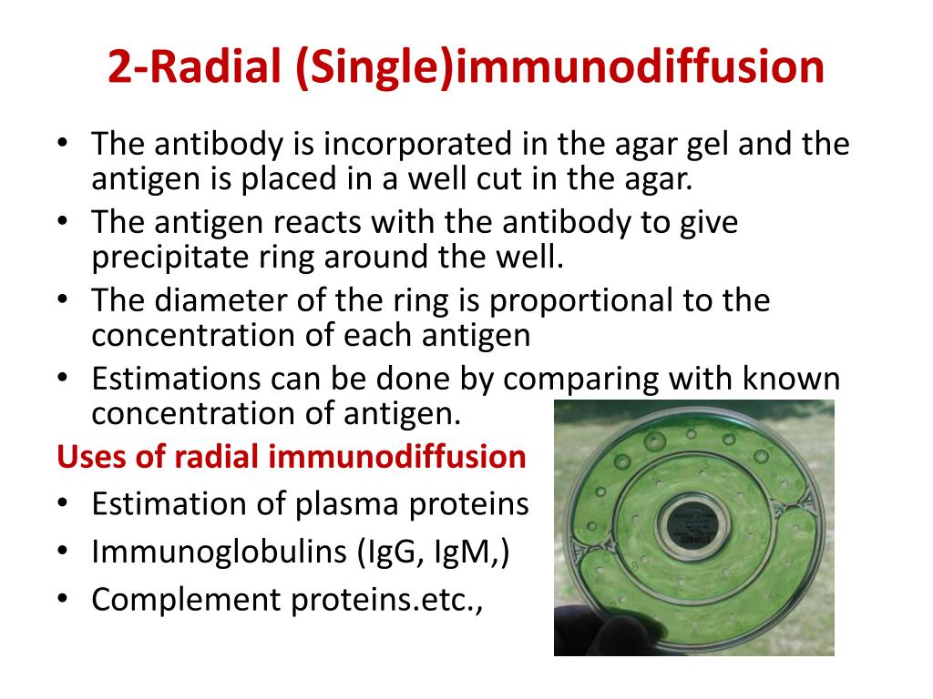 PPT - Immunodiagnosis Antigen antibody reactions PowerPoint ...