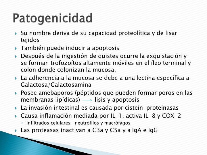 PPT - Protozoarios patógenos: Amebas PowerPoint Presentation - ID:2144949