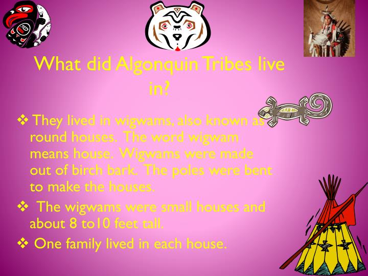 PPT - Algonquin Tribes by Mrs. Freire’s Class PowerPoint Presentation ...
