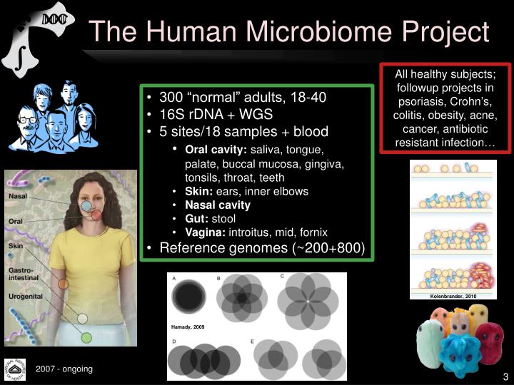 PPT - Computational metagenomics and the human microbiome PowerPoint ...