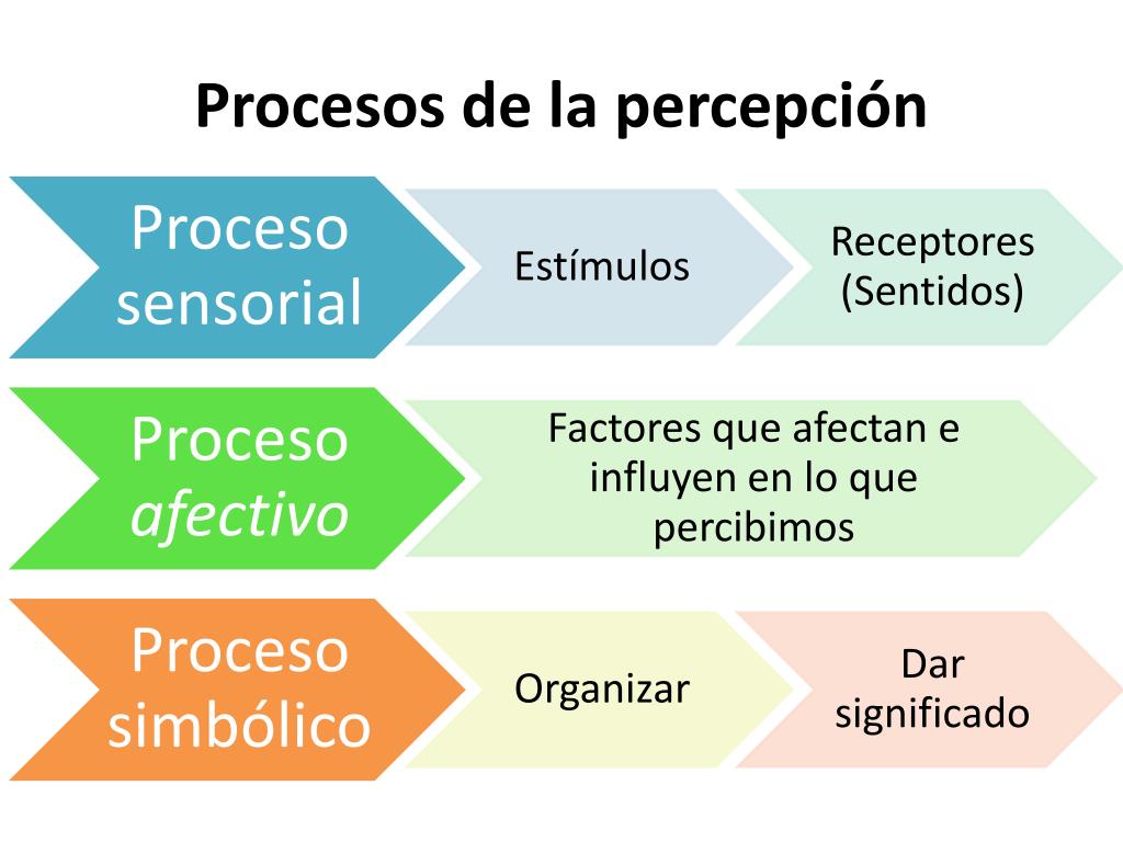 PPT - A continuación y sólo durante 15 segundos verán una imagen con ...