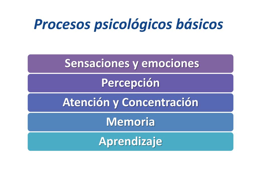 PPT - El ser humano como sujeto de Procesos psicológicos PowerPoint ...