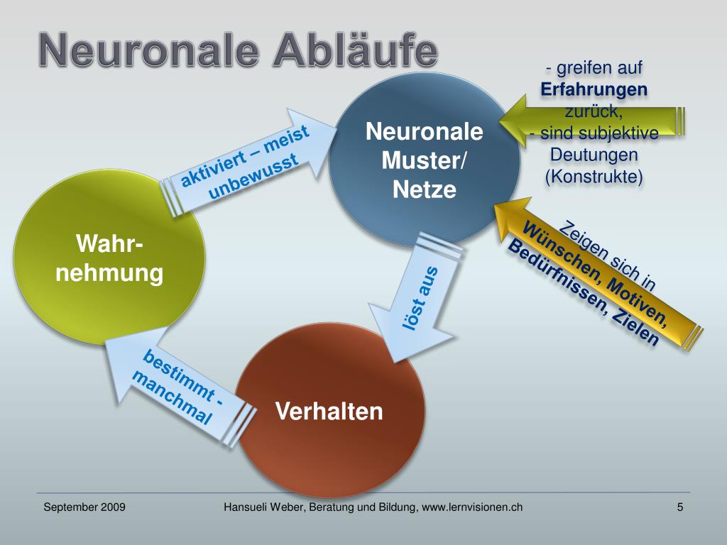 PPT - Neurobiologie und Lösungsorientierung PowerPoint Presentation ...