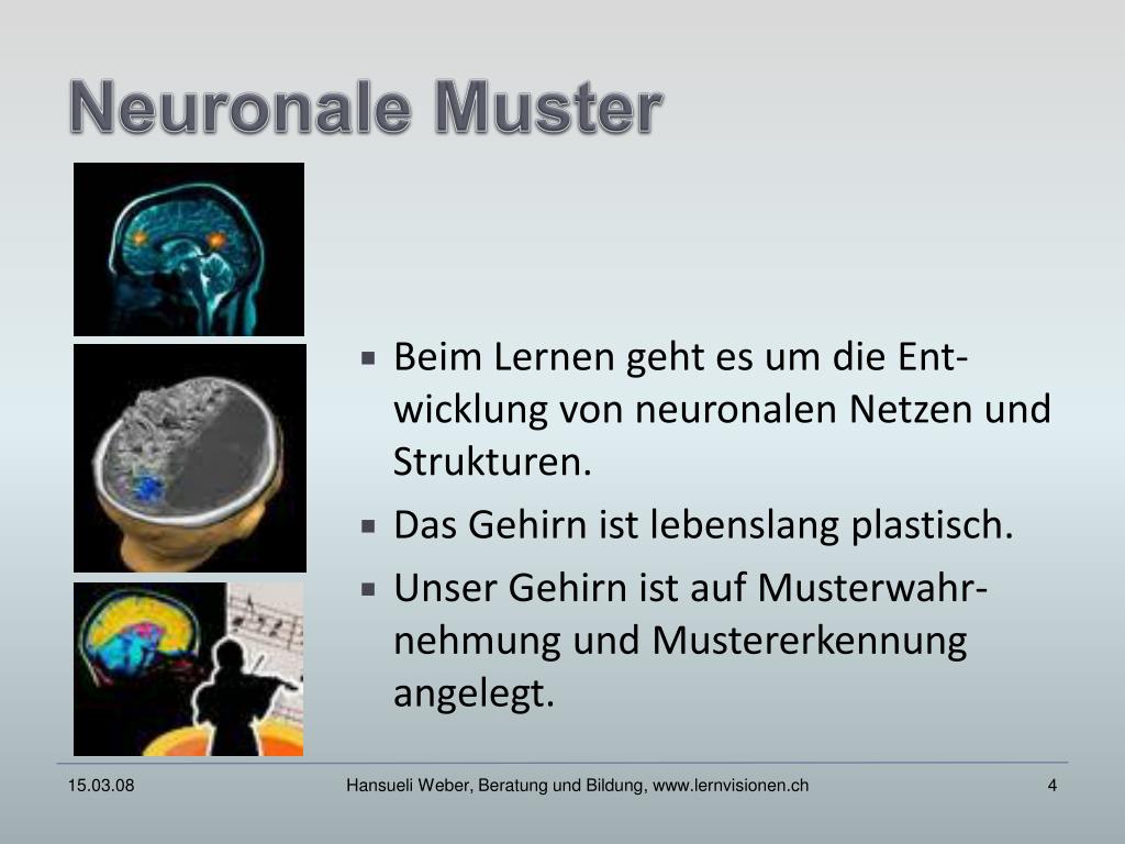PPT - Neurobiologie und Lösungsorientierung PowerPoint Presentation ...