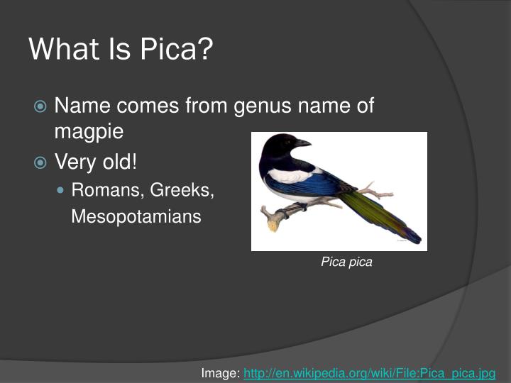 PPT - Pica PowerPoint Presentation - ID:2147413