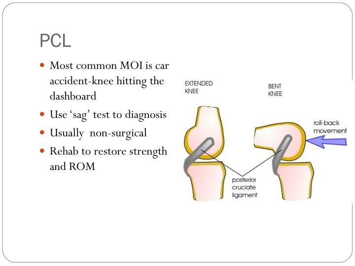 PPT - Ch. 18 Knee Injuries PowerPoint Presentation - ID:2147623