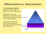 PPT - Fertilization PowerPoint Presentation - ID:2148008
