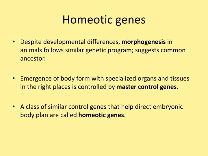 PPT - Fertilization PowerPoint Presentation - ID:2148008
