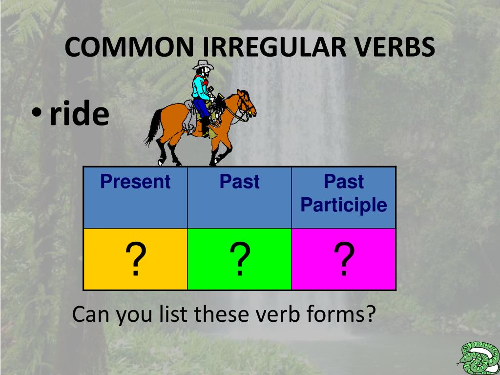 PPT - The Great Kapok Tree By Lynne Cherry PowerPoint Presentation ...