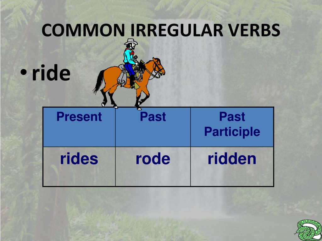 PPT - The Great Kapok Tree By Lynne Cherry PowerPoint Presentation ...