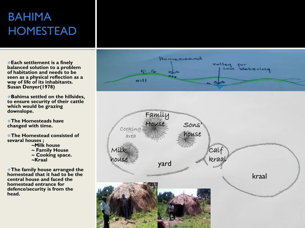 PPT - BAHIMA TRADITIONAL HOUSE - ANKOLE PowerPoint Presentation, free ...