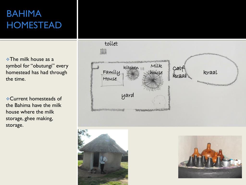 PPT - BAHIMA TRADITIONAL HOUSE - ANKOLE PowerPoint Presentation, free ...