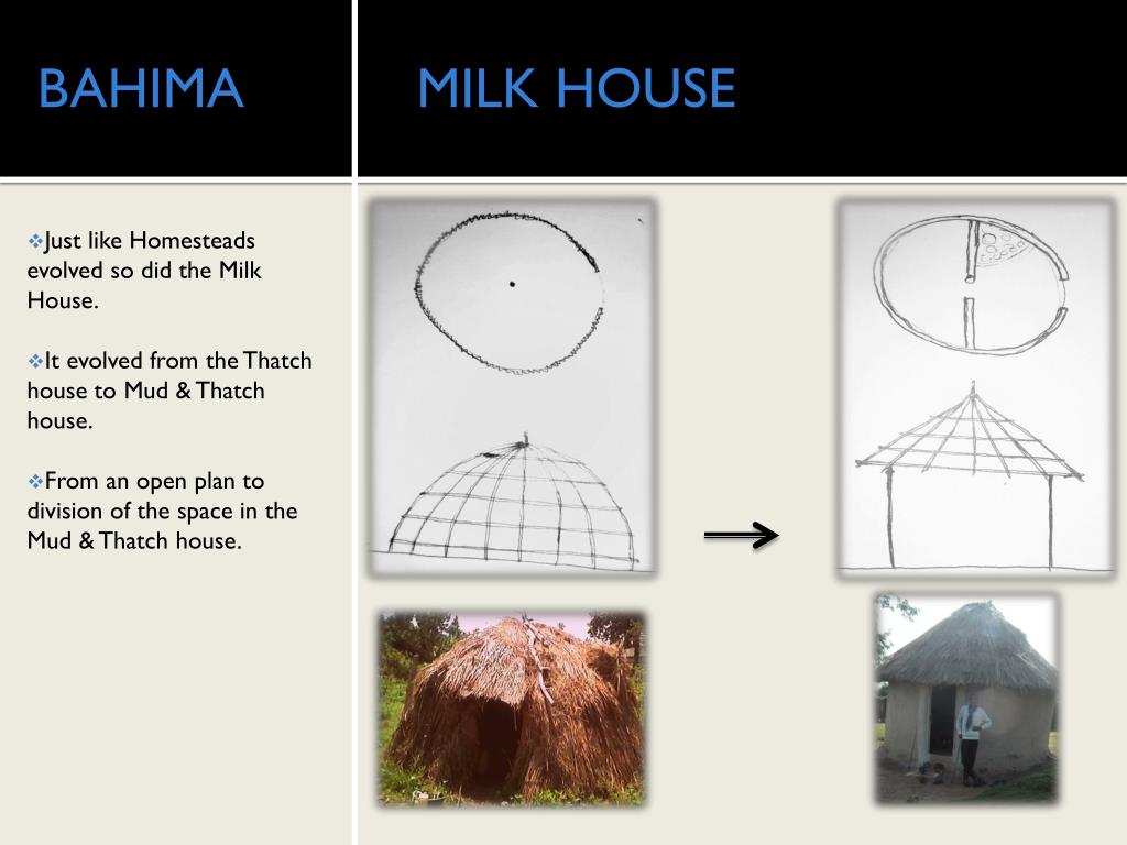 PPT - BAHIMA TRADITIONAL HOUSE - ANKOLE PowerPoint Presentation, free ...