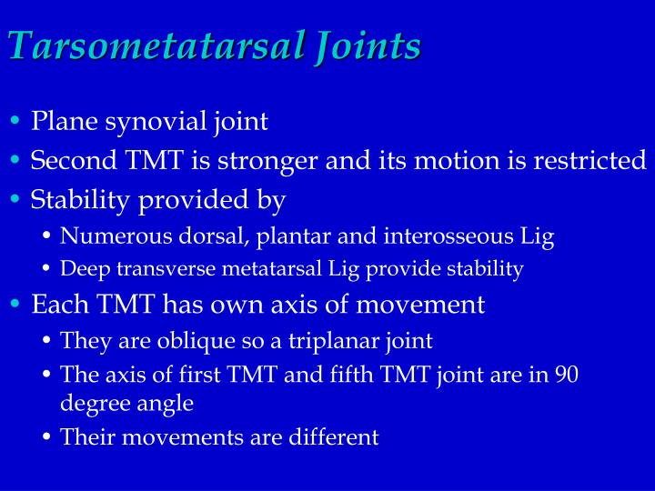 PPT - Rehabilitation Faculty PowerPoint Presentation - ID:2148317