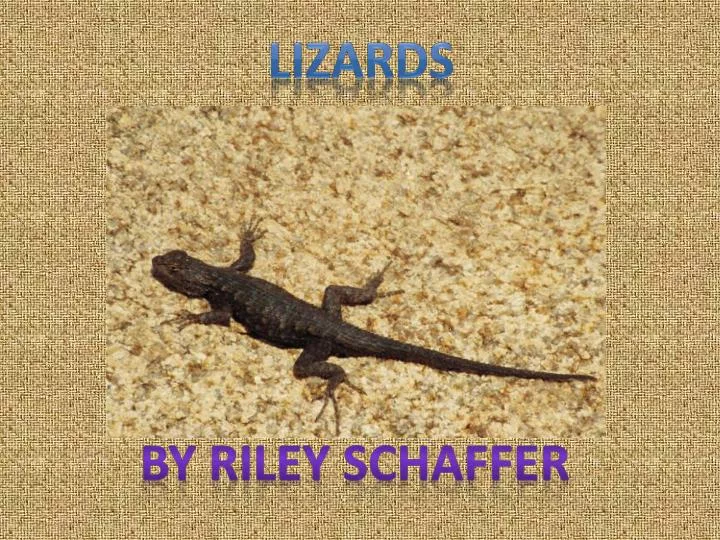 PPT - By riley schaffer PowerPoint Presentation, free download - ID:2148323