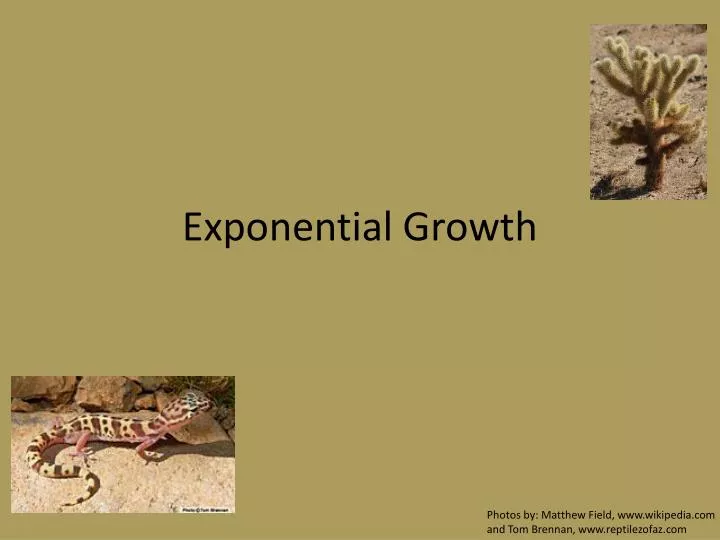 PPT - Exponential Growth PowerPoint Presentation, free download - ID ...