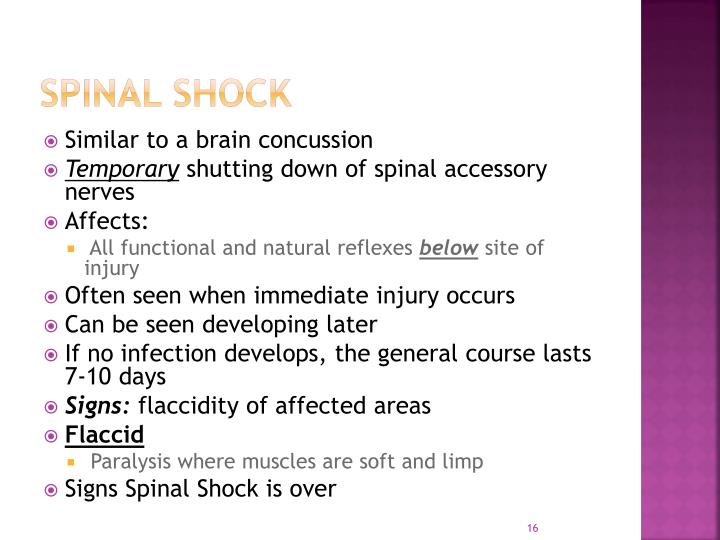 PPT - Lesson #6 Spinal Cord Injury PowerPoint Presentation - ID:2148718