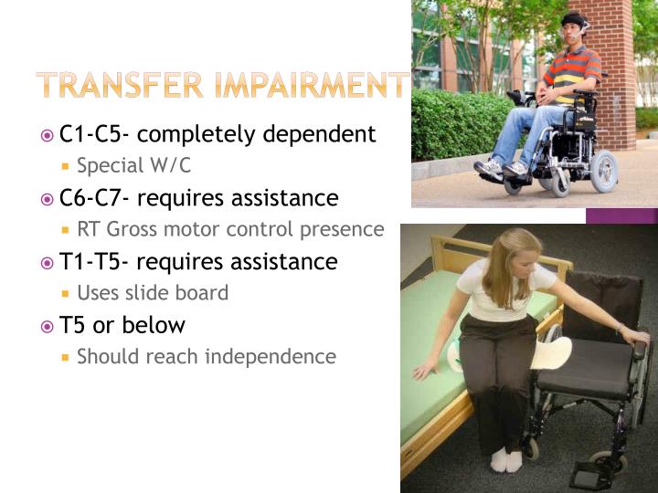 PPT - Lesson #6 Spinal Cord Injury PowerPoint Presentation - ID:2148718