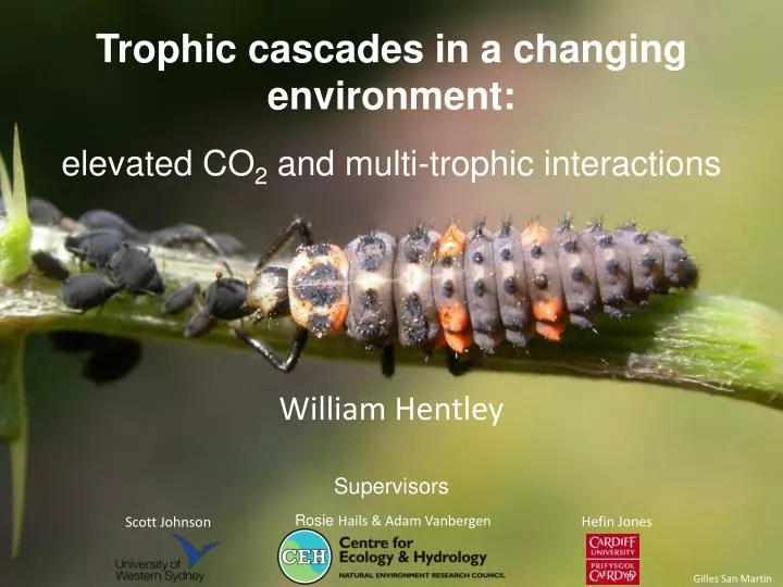 PPT - Trophic cascades in a changing environment: elevated CO 2 and ...