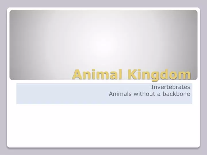 PPT - Animal Kingdom PowerPoint Presentation, free download - ID:2149822