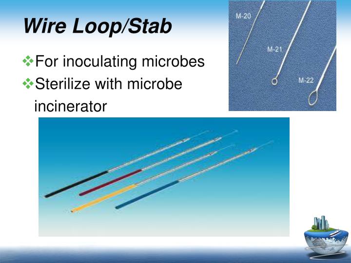 PPT - Microbiology Instrumentation PowerPoint Presentation - ID:2149987