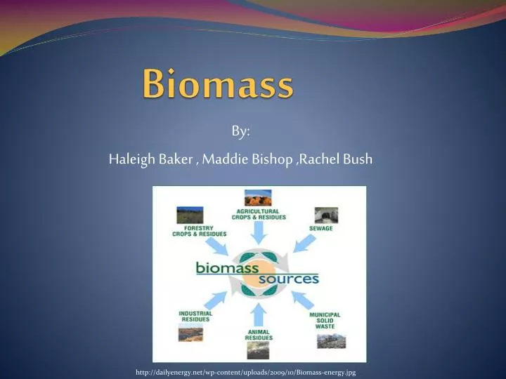 PPT - Biomass PowerPoint Presentation, free download - ID:2150091