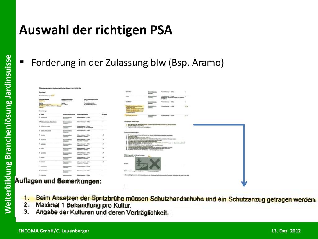 PPT - Richtige Verwendung von Persönlicher Schutzausrüstung, PSA ...