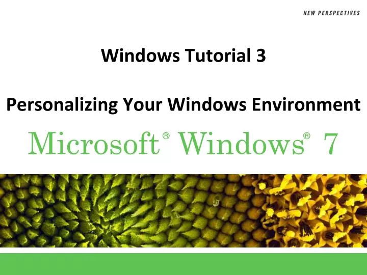 PPT - Windows Tutorial 3 Personalizing Your Windows Environment ...