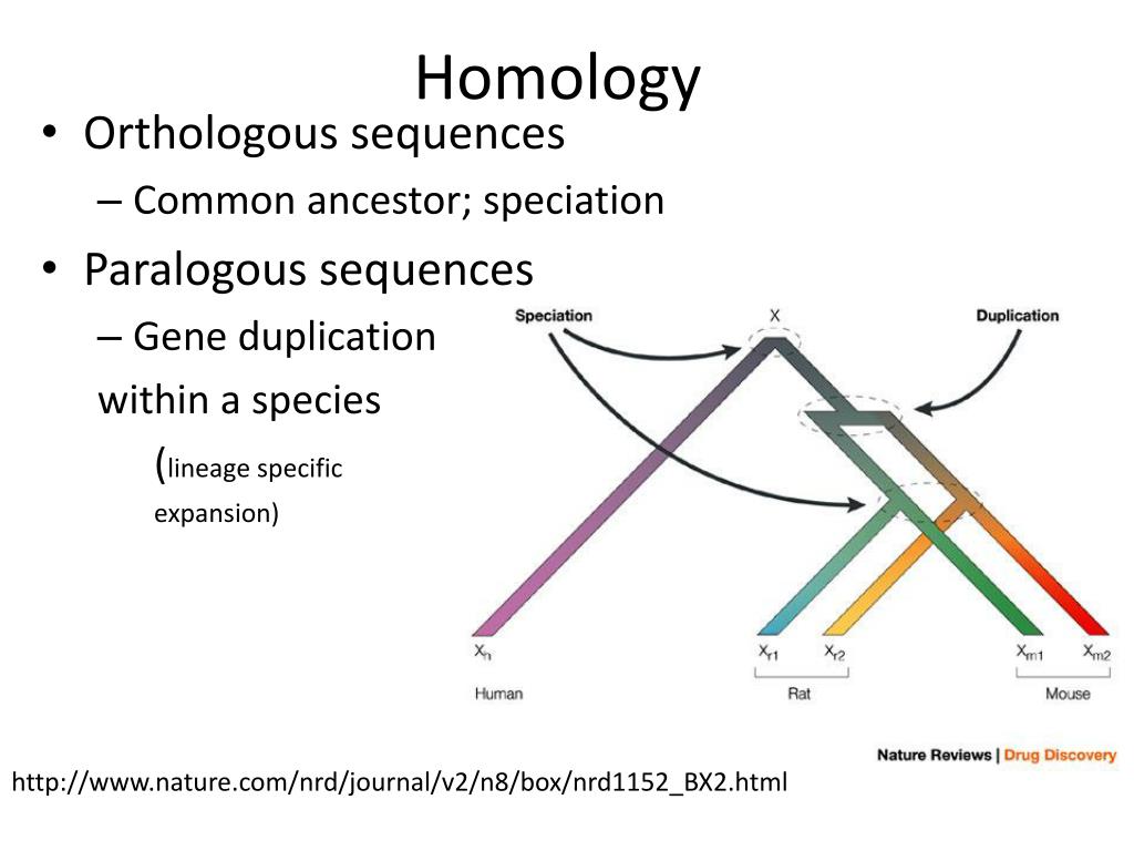 PPT - 26th International Mammalian Genome Conference 2012 PowerPoint ...