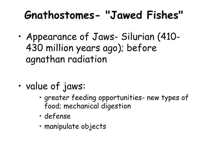PPT - Gnathostomes- "Jawed Fishes" PowerPoint Presentation, free ...