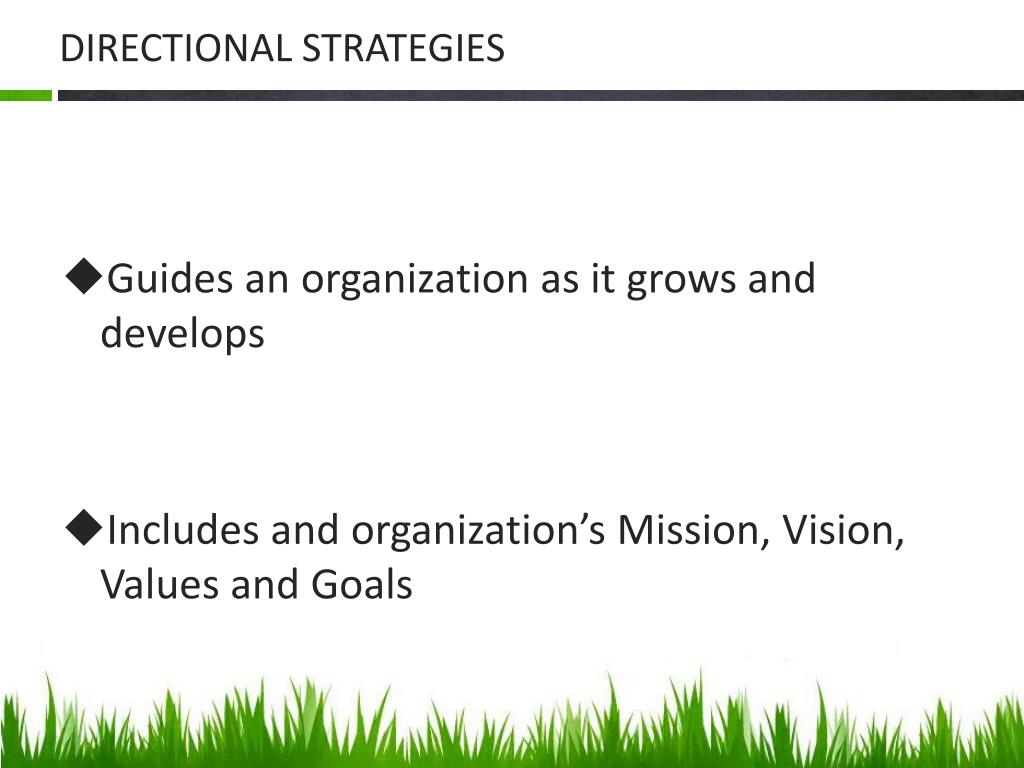 PPT - Orthopedic Service Line: Hip and Knee Surgery STRATEGIC PLANNING ...