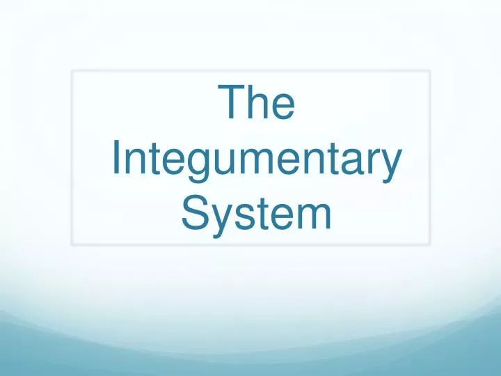 PPT - The Integumentary System PowerPoint Presentation, free download ...