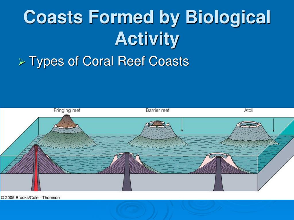 PPT - Coasts: Beaches and Shoreline Processes PowerPoint Presentation ... PPT - Coasts: Beaches and Shoreline Processes PowerPoint Presentation ...