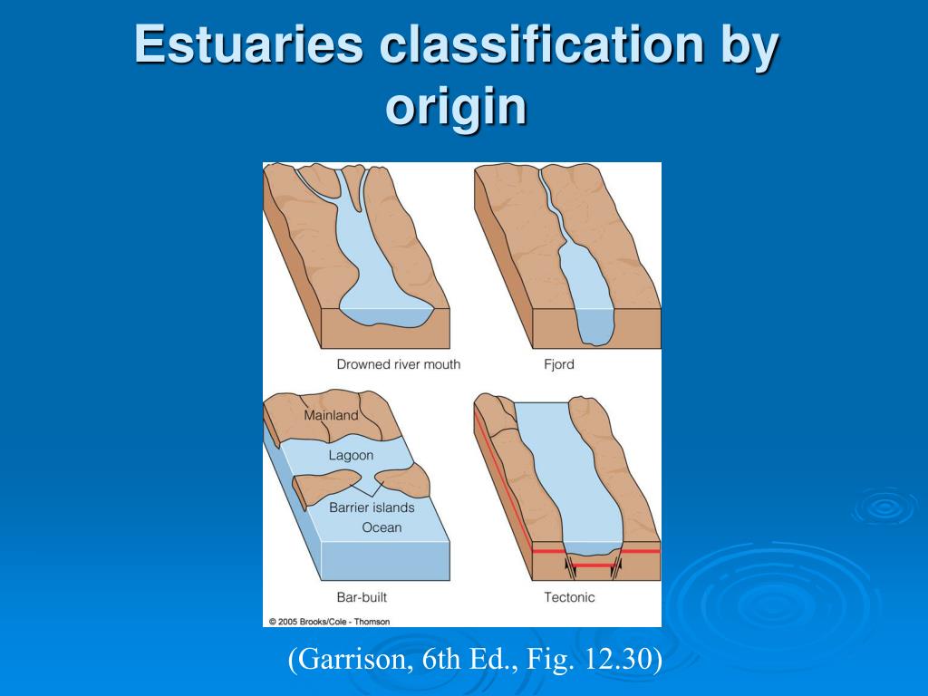 PPT - Coasts: Beaches and Shoreline Processes PowerPoint Presentation ... PPT - Coasts: Beaches and Shoreline Processes PowerPoint Presentation ...