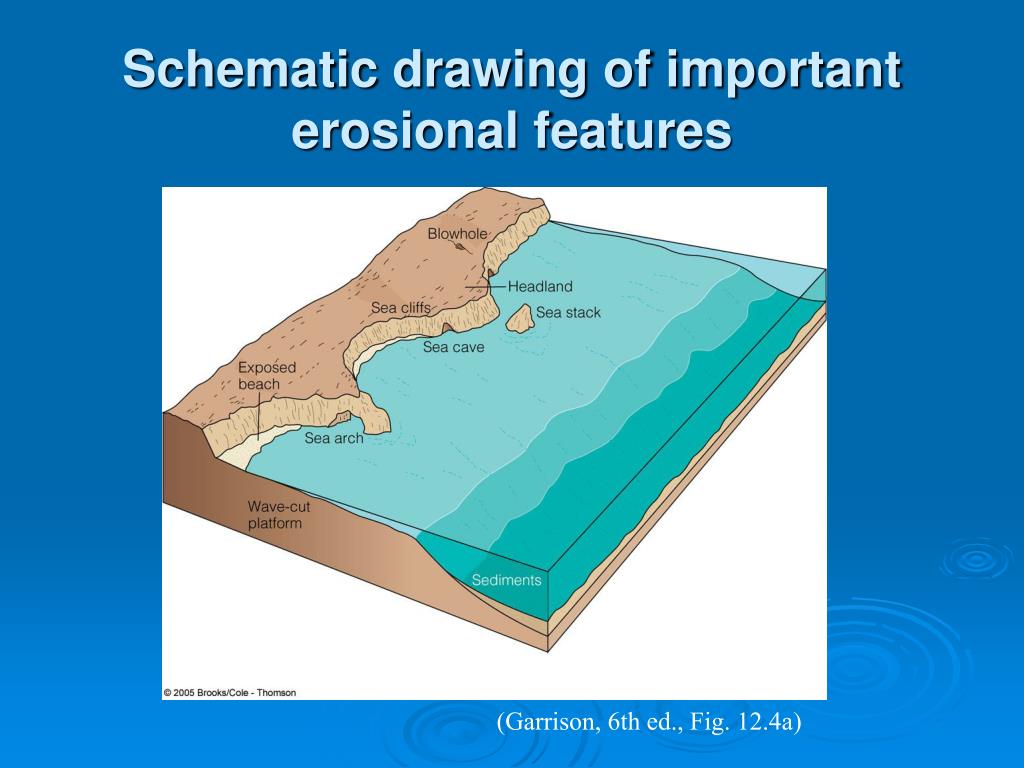 PPT - Coasts: Beaches and Shoreline Processes PowerPoint Presentation ... PPT - Coasts: Beaches and Shoreline Processes PowerPoint Presentation ...