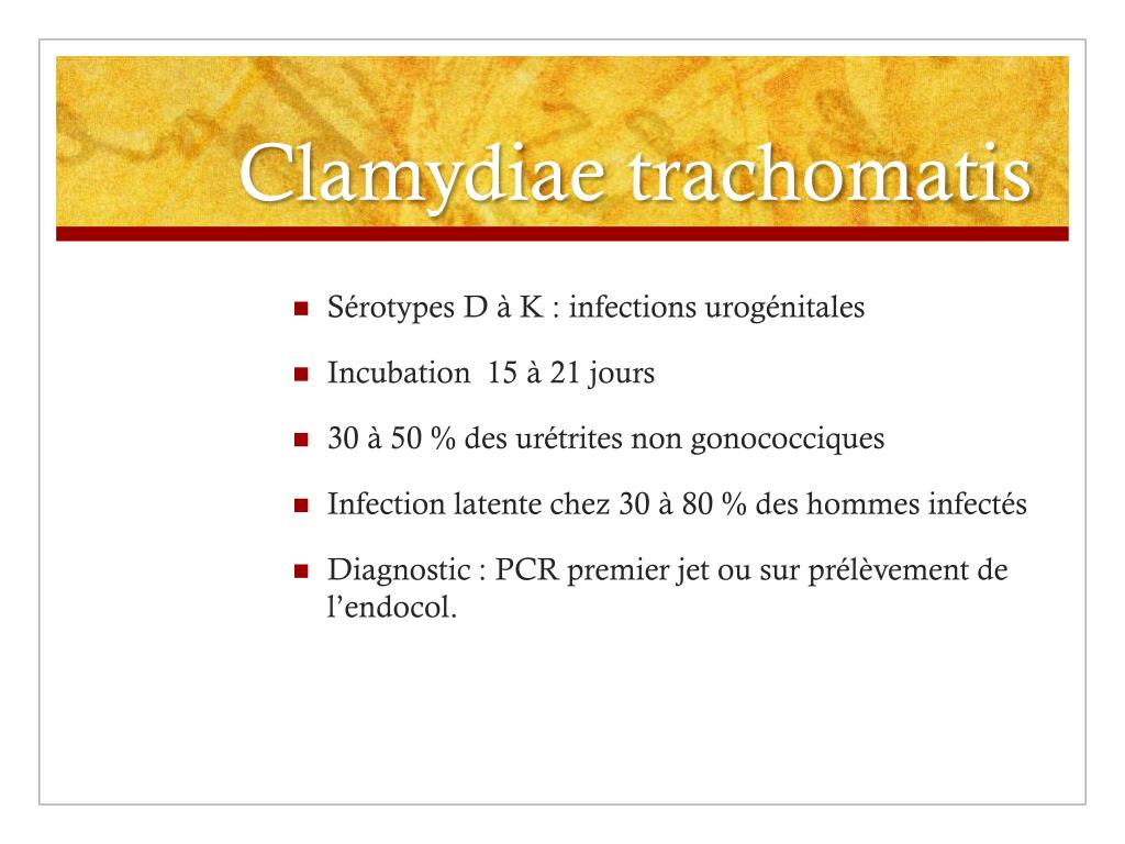 PPT - Infections sexuellement transmissibles PowerPoint Presentation ...