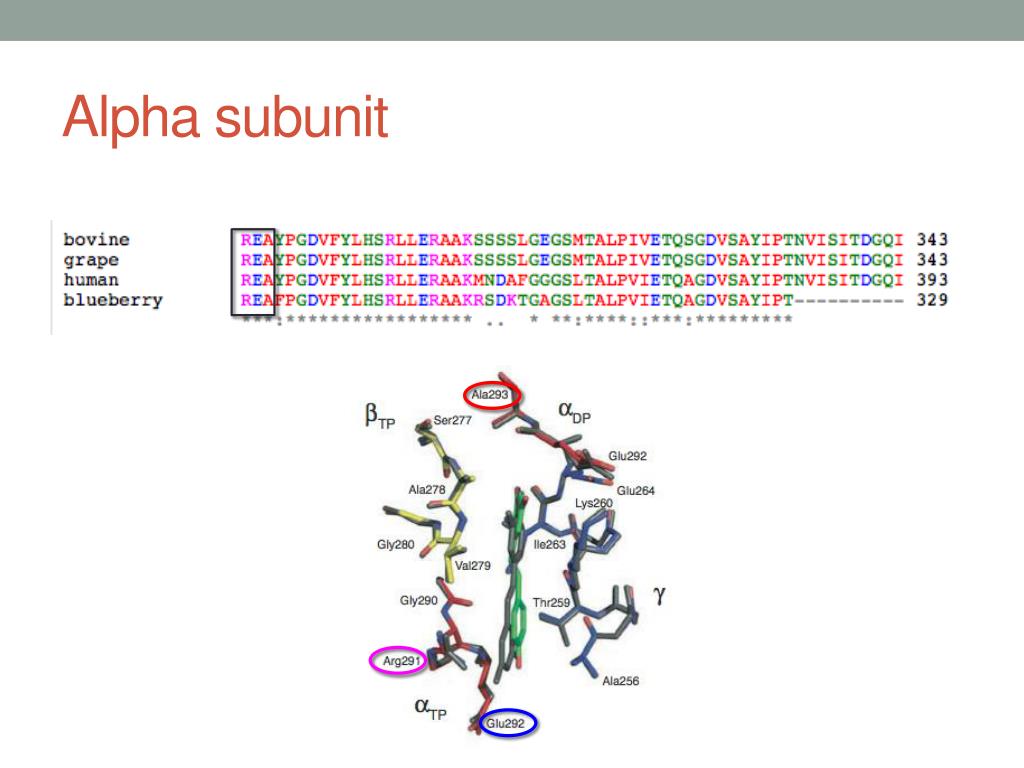 PPT - Lauren Ivey Laura McCoy PowerPoint Presentation, free download ...