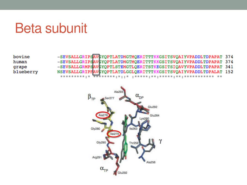 PPT - Lauren Ivey Laura McCoy PowerPoint Presentation, free download ...