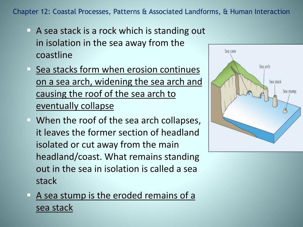 PPT - Coastal Processes & Landforms PowerPoint Presentation, free ... PPT - Coastal Processes & Landforms PowerPoint Presentation, free ...