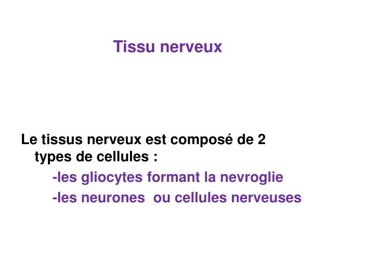 PPT - Tissu nerveux PowerPoint Presentation - ID:2151642