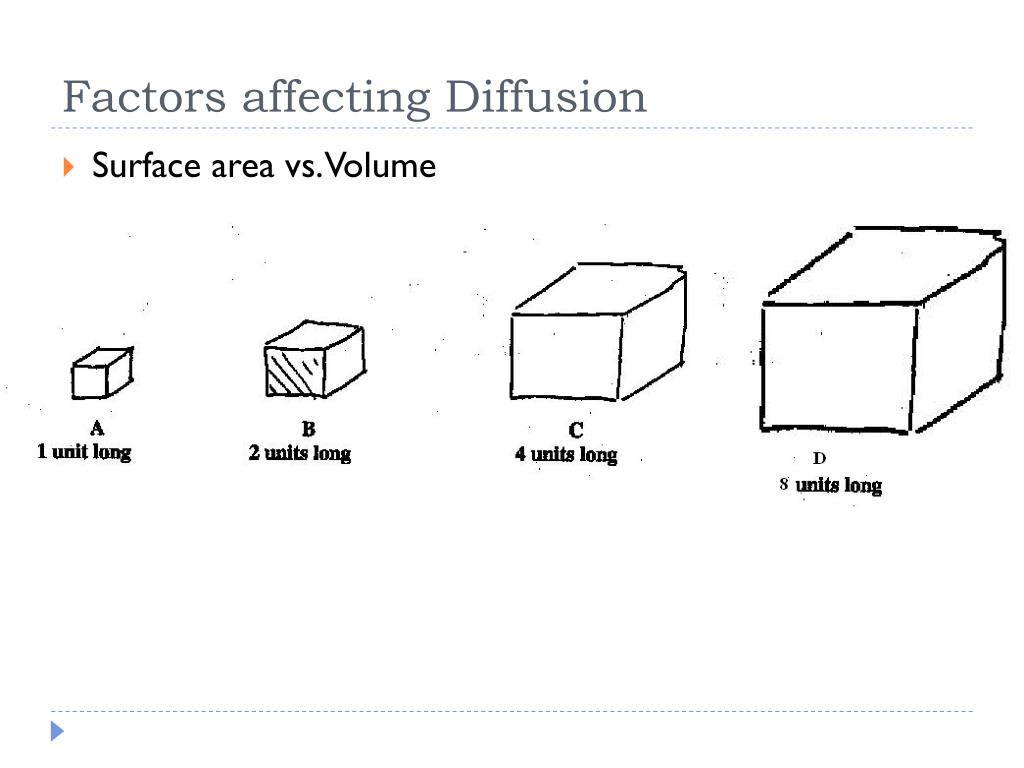 PPT - Cell Biology: The Cell Membrane PowerPoint Presentation, free ...