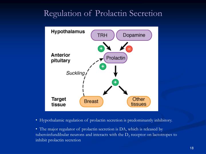 PPT - PITUITARY HORMONES PowerPoint Presentation - ID:2152380