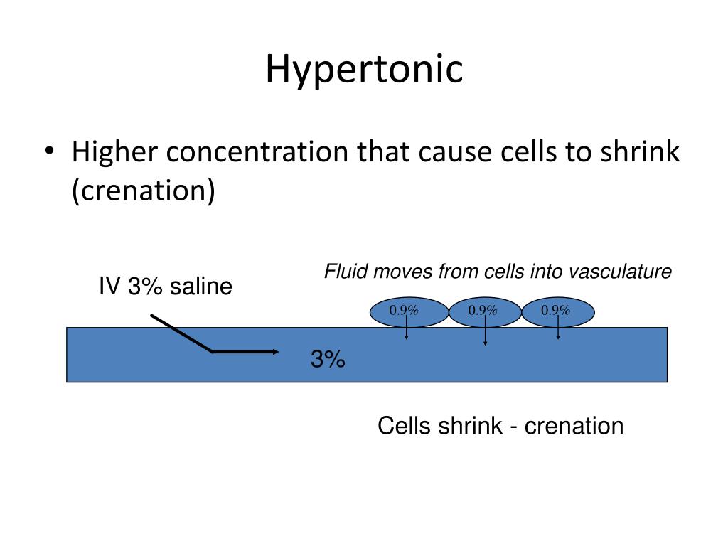 PPT - Respiratory Therapy Pharmacology PowerPoint Presentation, free ...